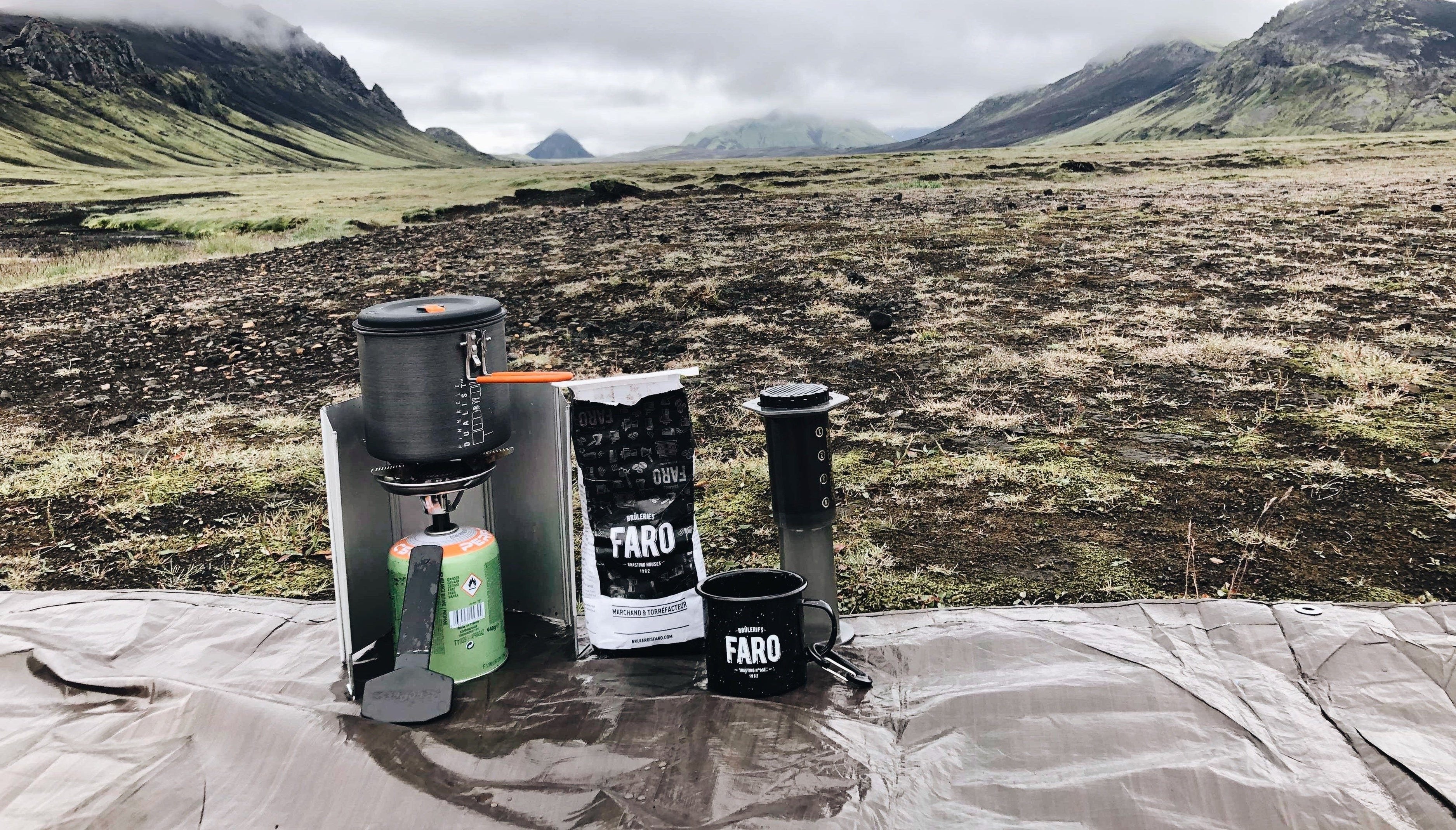 The best coffee of the year has arrived! – FARO Roasting Houses